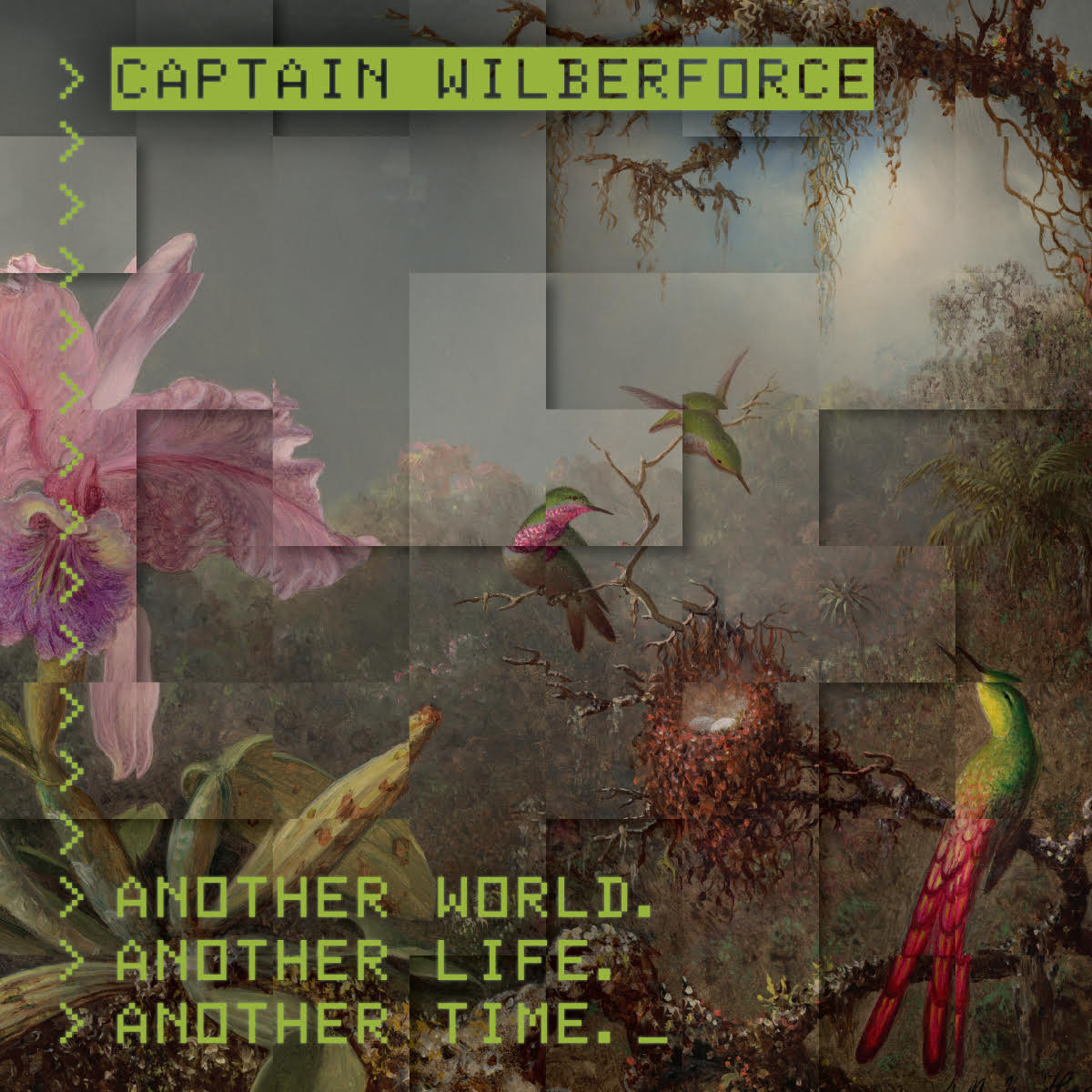 Album Review: CAPTAIN WILBERFORCE – Another World. Another Life ...